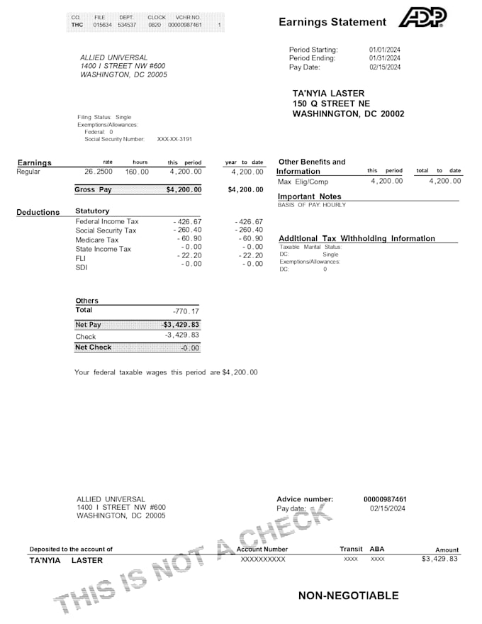 Create payroll stubs for employees by Husnain_961 | Fiverr