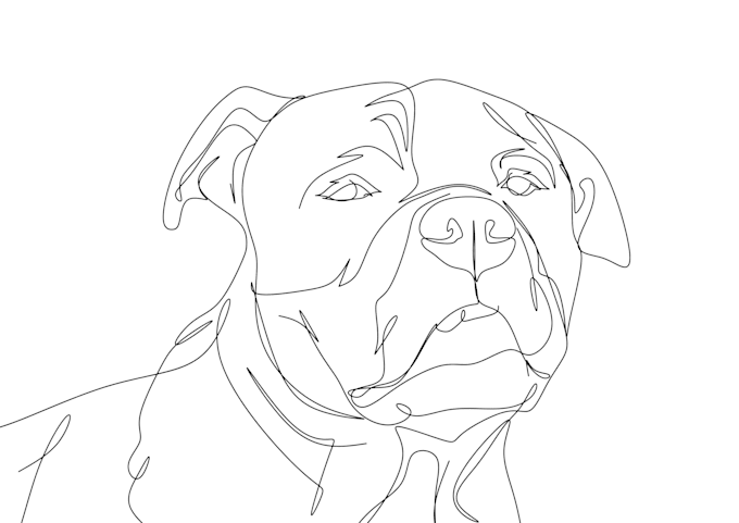 Create digital line art illustration by Rizalea | Fiverr