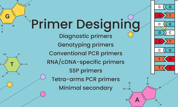 Design primers of real time pcr, conventional pcr, tetra arms pcr, ssp ...