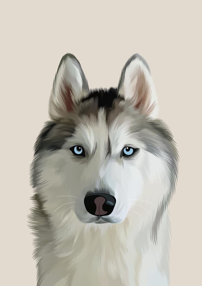 Be your siberian husky dog model for photos and videos by Rexandnitro ...