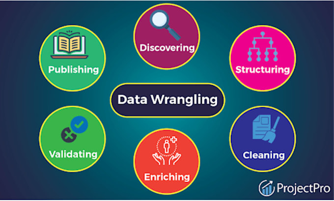 Do Data Cleaning Wrangling And Report Making In Python Or R By