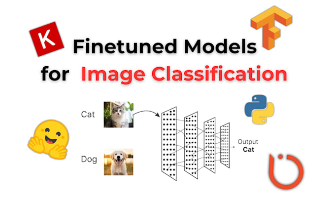 Optimize image classification models for precise insights by ...
