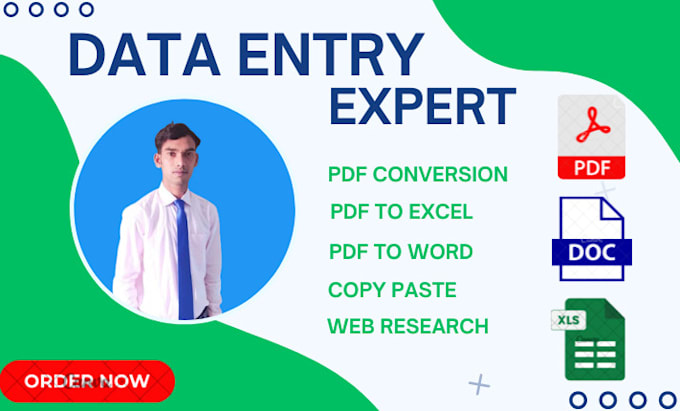 Do excel data entry, virtual assistant, file conversion by Mak_josim | Fiverr