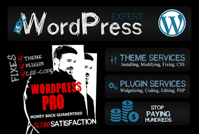 Customize Wordpress Theme And Fix All Css Issues By Zafdesign Fiverr