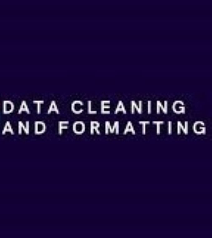 Data formatting in excel and word by Emanuel_stanic | Fiverr