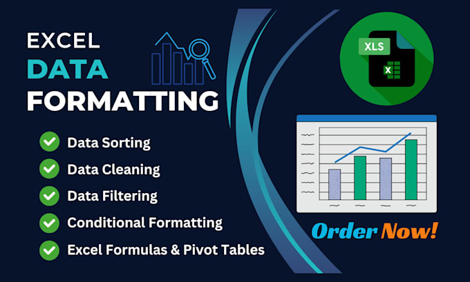 Clean and format your excel data by Fastfreelancer5 | Fiverr