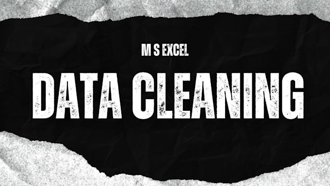Professional excel data cleaning and formatting service by Rohitsd6363 ...