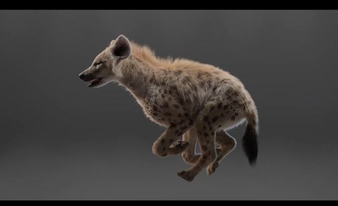 Render pro 3d realistic animal design, 3d animal model, 3d animal ...