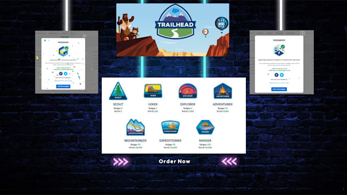 Help You In Salesforce Trailhead Badges Points And Superbadge And Certification By Fahadisrar786