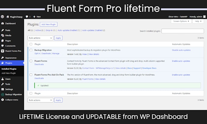Install fluent forms pro with lifetime licence by Araai007 | Fiverr