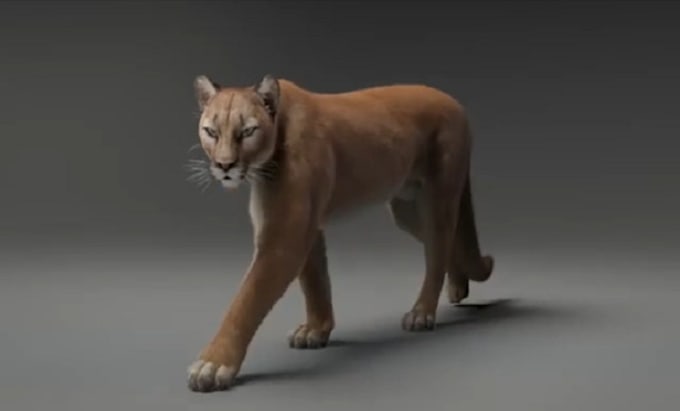 Do realistic 3d animal model, 3d character model with animal fur hair ...