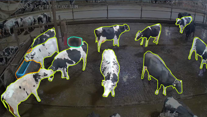 Do Image Annotation Segmentation Data Labeling For Ai Model By