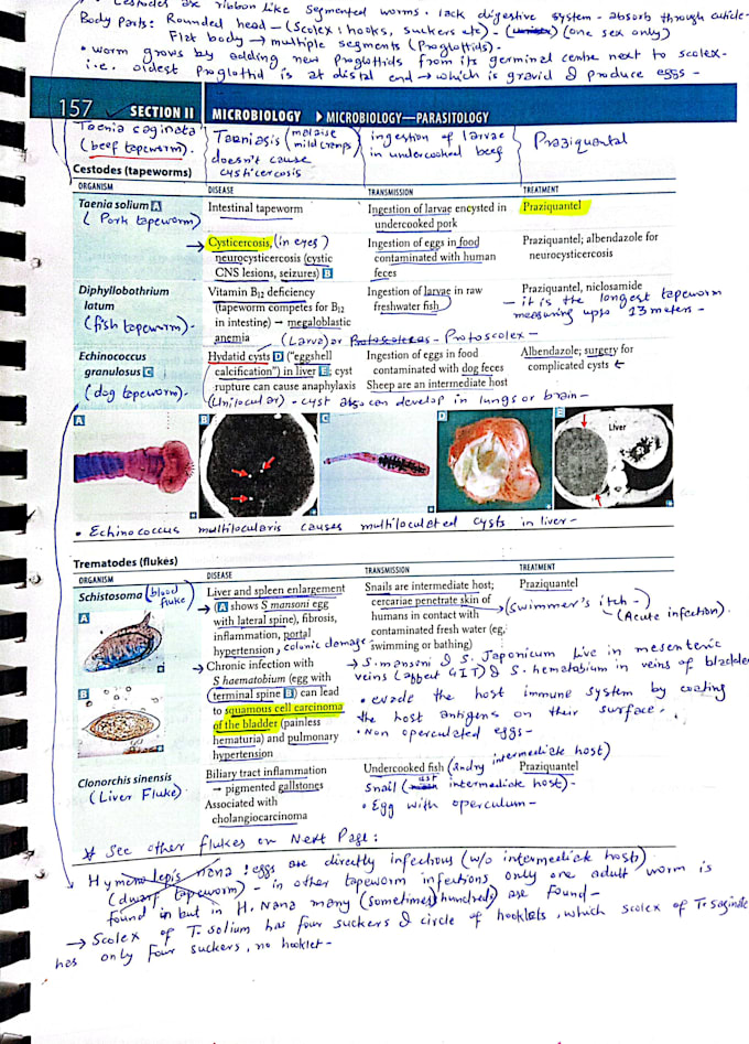 Tutor usmle step 1 and usmle step 2 ck by Sardarbux | Fiverr