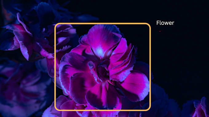 Perform image recognition and computer vision tasks using python by Octodroid | Fiverr