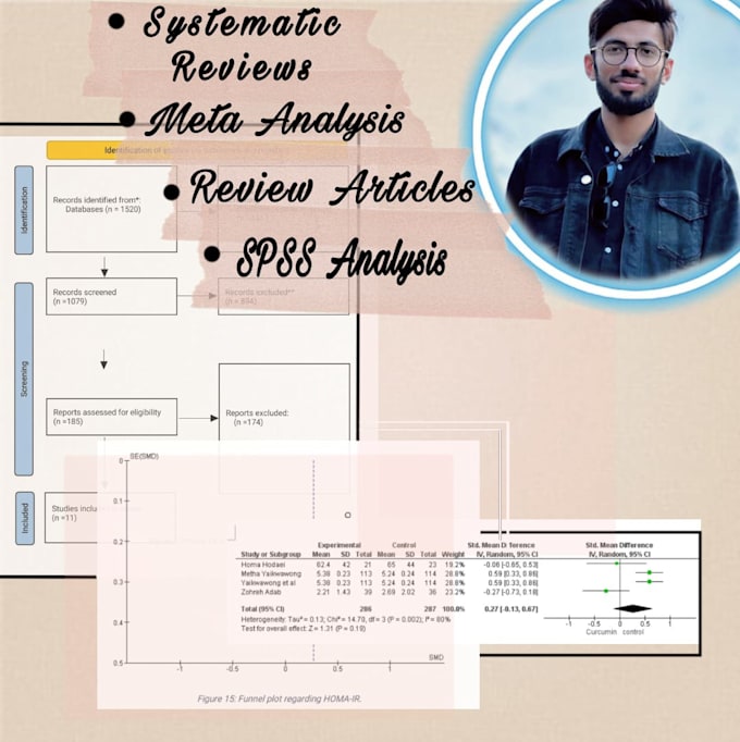 Do medical systematic review meta analysis review article by Drtamaniak17 | Fiverr