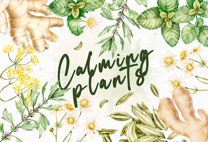 Draw watercolor botanical clipart by Evepatterns | Fiverr