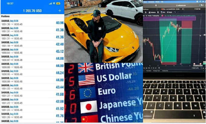 Set high scalping profitable forex trading bot, forex ea, gold ea, hft ...