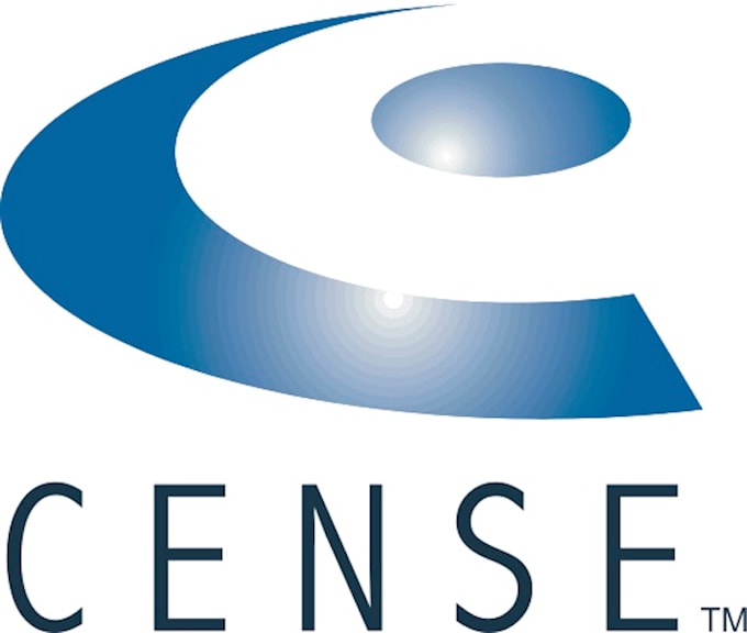 Turn your messy data into a strong presentation by Censegroup | Fiverr