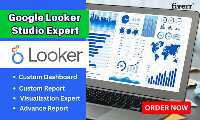 Create professional google looker studio dashboard custom report by ...