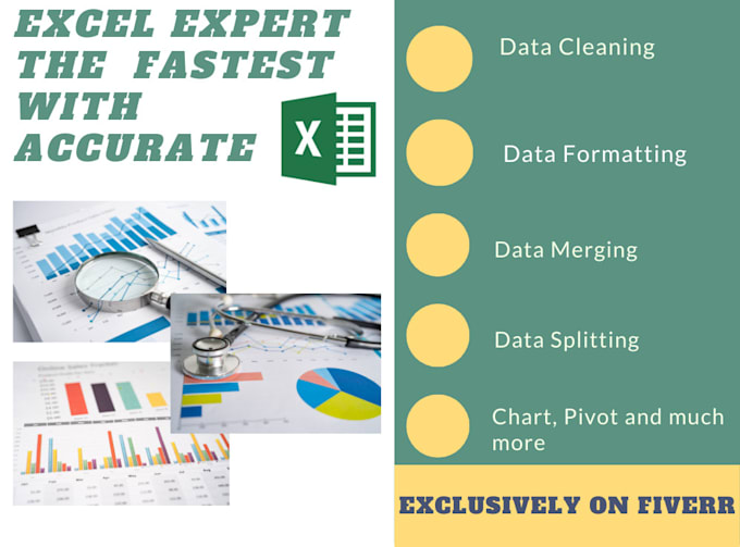 Do excel data cleaning, data formatting, and data merging by Shifat0987 ...