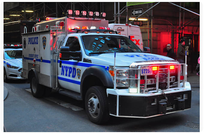 Design custom livery of police, ems, cars of fivem for you by Edwin ...