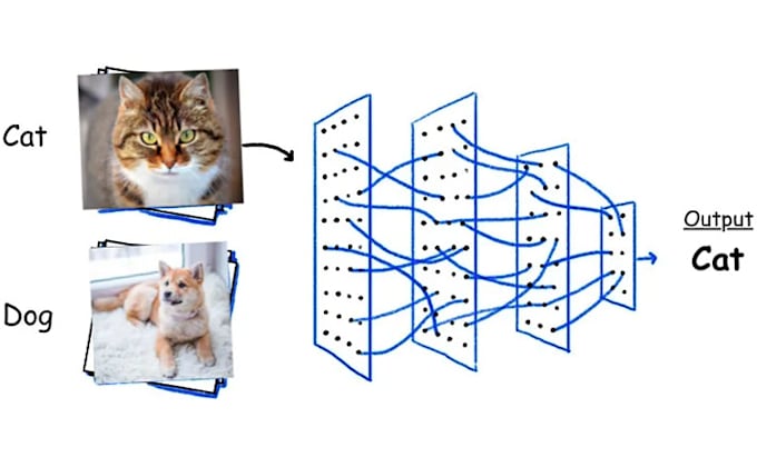 Develop and train custom deep learning models by Talha_123456789 | Fiverr Develop and train custom deep learning models by Talha_123456789 | Fiverr