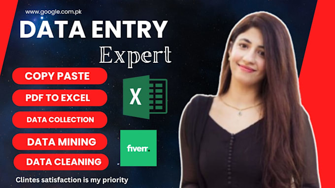 Do data entry, copy paste, web research, pdf to ms excel by Nabiha_sultan | Fiverr