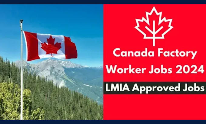 Apply for lmia job with work permit, job offer letter visa in canada, job search by Isla_lily9 ...