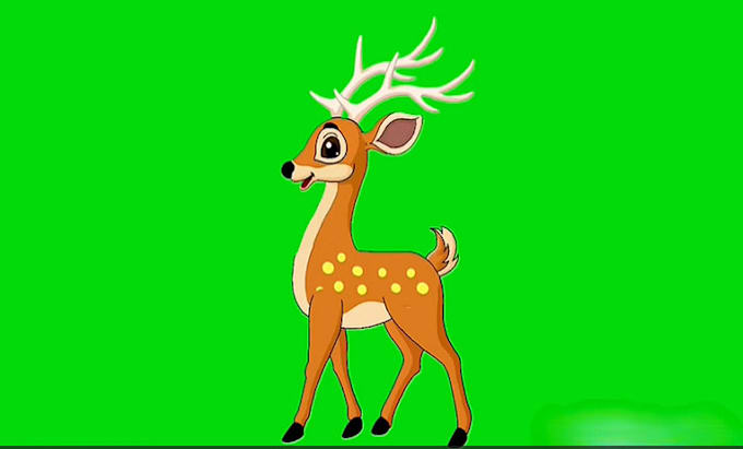 Create a 2d cartoon character and 2d animal animation video by ...