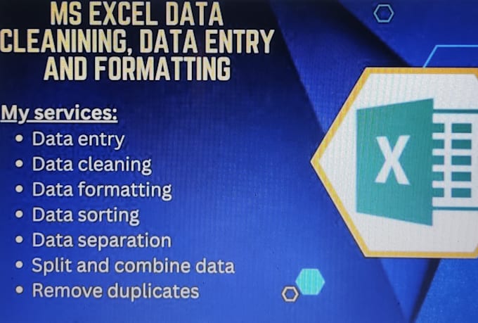 Do Custom Excel Work Formatting Cleaning Data Entry Dashboard And