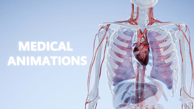 Create 3d medical animation and 3d modeling by Borzzenko | Fiverr