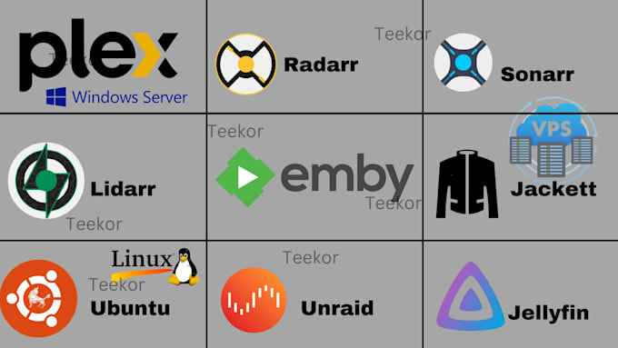 Setup n configure plex, emby jellyfin on vps, linux, pc automate jackett, sonarr by Teewhakorex ...