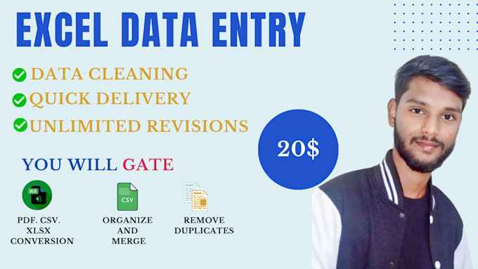 Clean, organize, format, and merge excel and csv data by Raushan1718 | Fiverr
