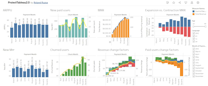Organize, analyze, and visualize your data by Rolandruzsa | Fiverr