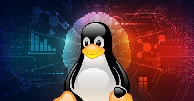 Develop and optimize your database, bash, php scripts, and server ... Develop and optimize your database, bash, php scripts, and server ...