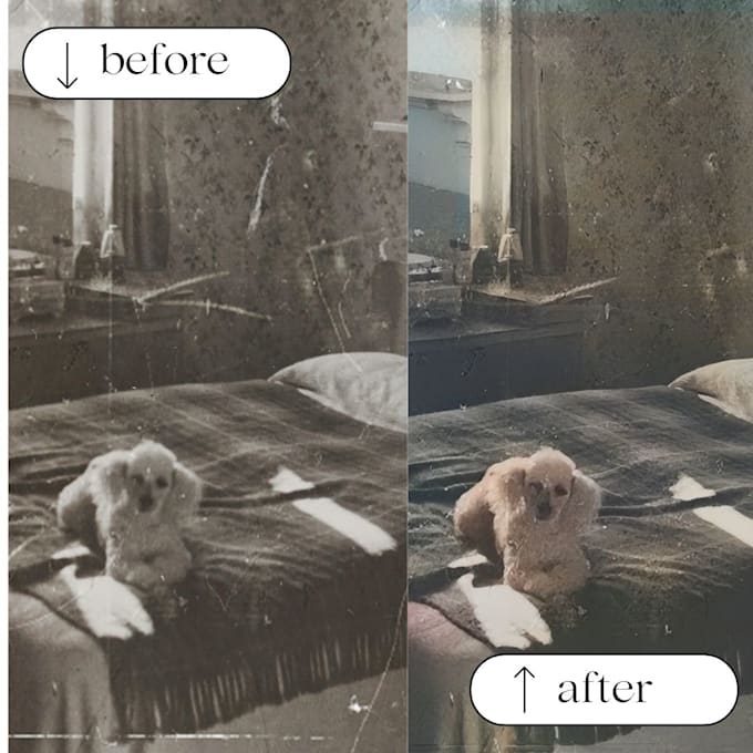 Do photo restoration, change backround, and colorize photo by Hayatie05 ...