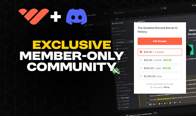Setup a business discord server with whop by Kbstar11 | Fiverr