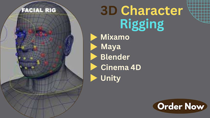 Rig your 3d character in blender or maya by Evergreenanima | Fiverr