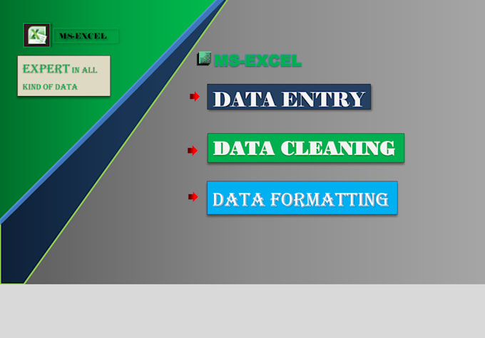 Do excel data entry, data cleaning, data formatting etc by Hasan5490 | Fiverr