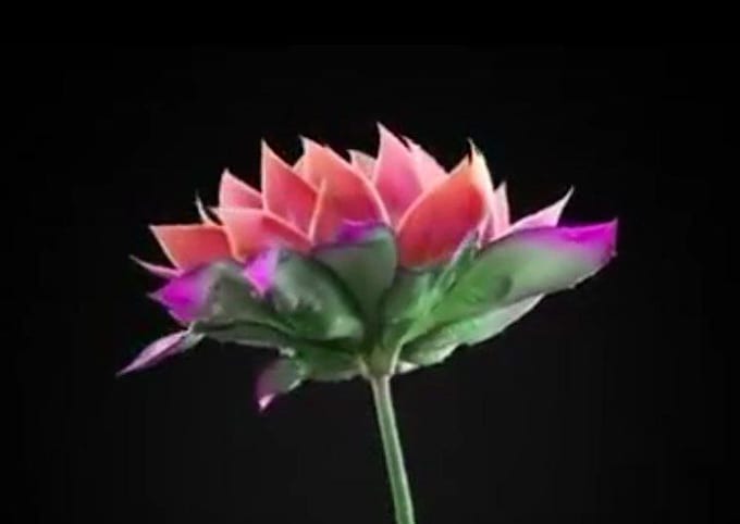 Render realistic 3d plant modeling, cgi flower design, 3d vfx plant ...