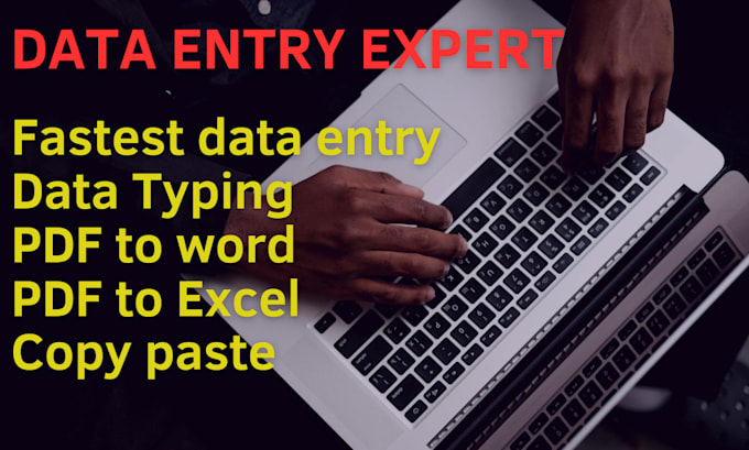 Do fast and accurate data entry by Mahnoor_muiz | Fiverr
