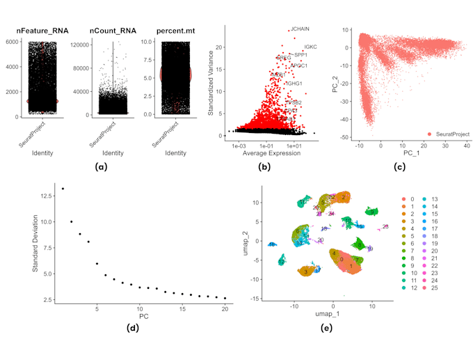 Perform scrna seq analysis for cancer datasets by Usman679_ | Fiverr