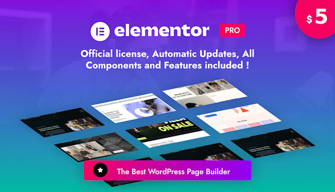 Install elementor pro and activate it in 2 hours by Eqpro425 | Fiverr