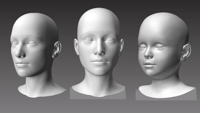Sculpt 3d bust, head, face, half body, and 3d character models by ...