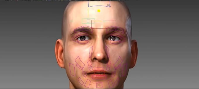 Rig character with auto rig pro, fk ik, arkit 52 blendshapes and facial ...