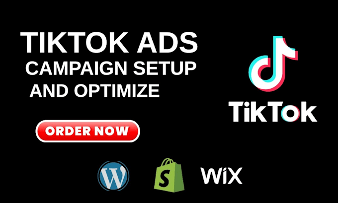 Do setup tik tok ads campaign , tik tok ads manager by Azmatbjr110 | Fiverr