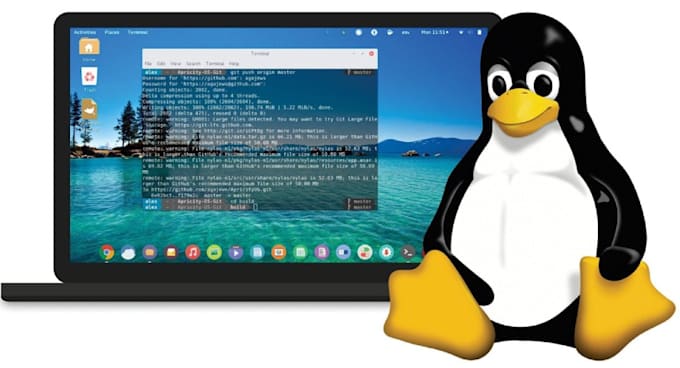 Install configure and troubleshoot linux server by Momiik | Fiverr