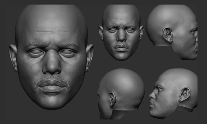 Sculpt a custom 3d head bust, 3d face model, 3d face sculpting for 3d ...