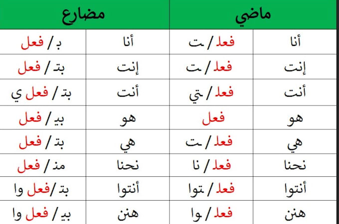 Teach you colloquial levantine and formal fusha arabic by Sara ...