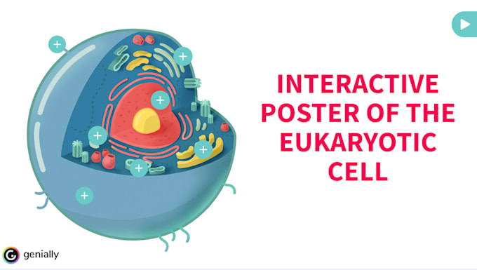 Create interactive documents on genially, canva and powerpoint by Anne_girod | Fiverr